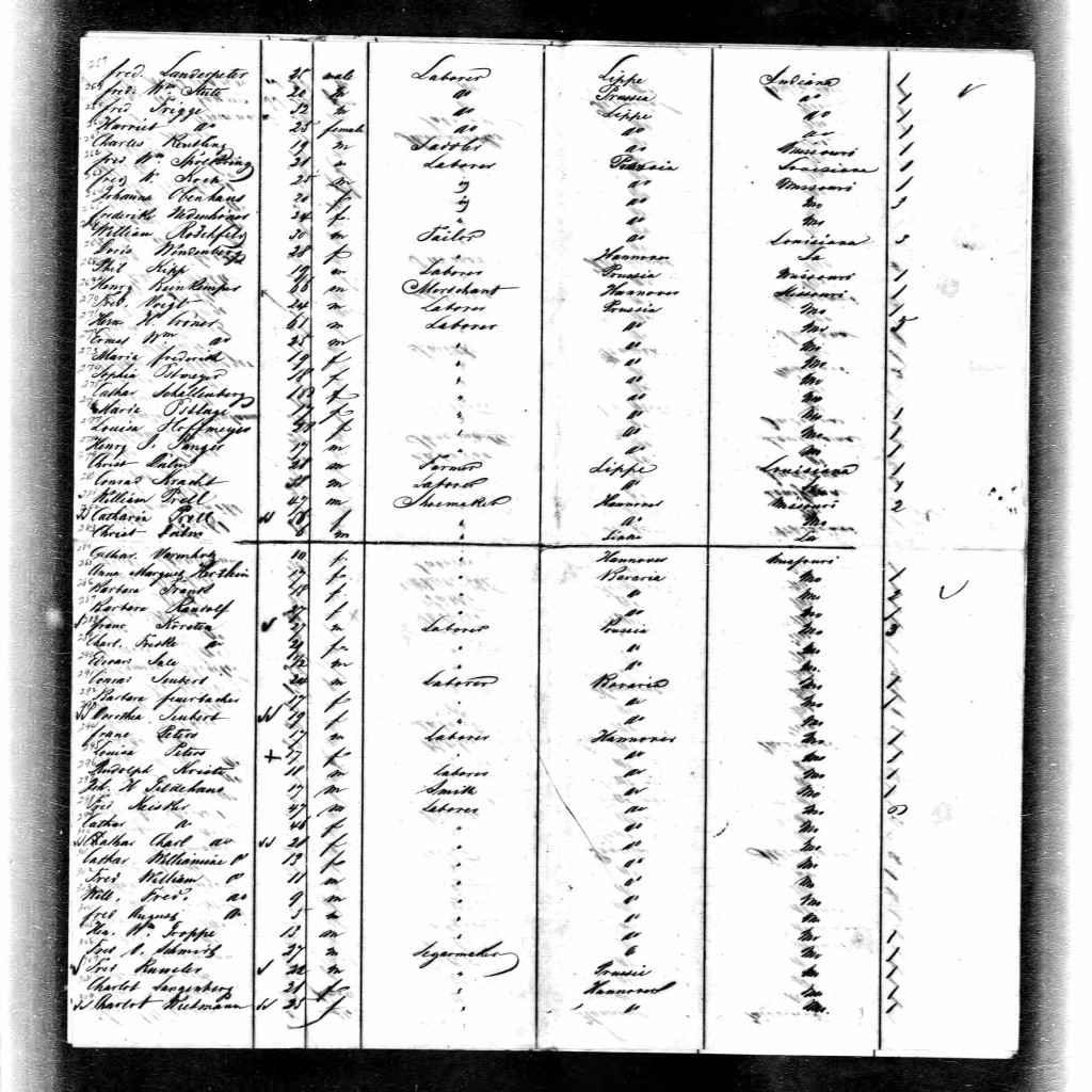 LOOBY/LUBY Family of Ireland and St. Louis, Missouri - The Heritage Lady
